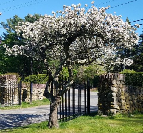 Resources | Blue Hill Cemetery and Crematory